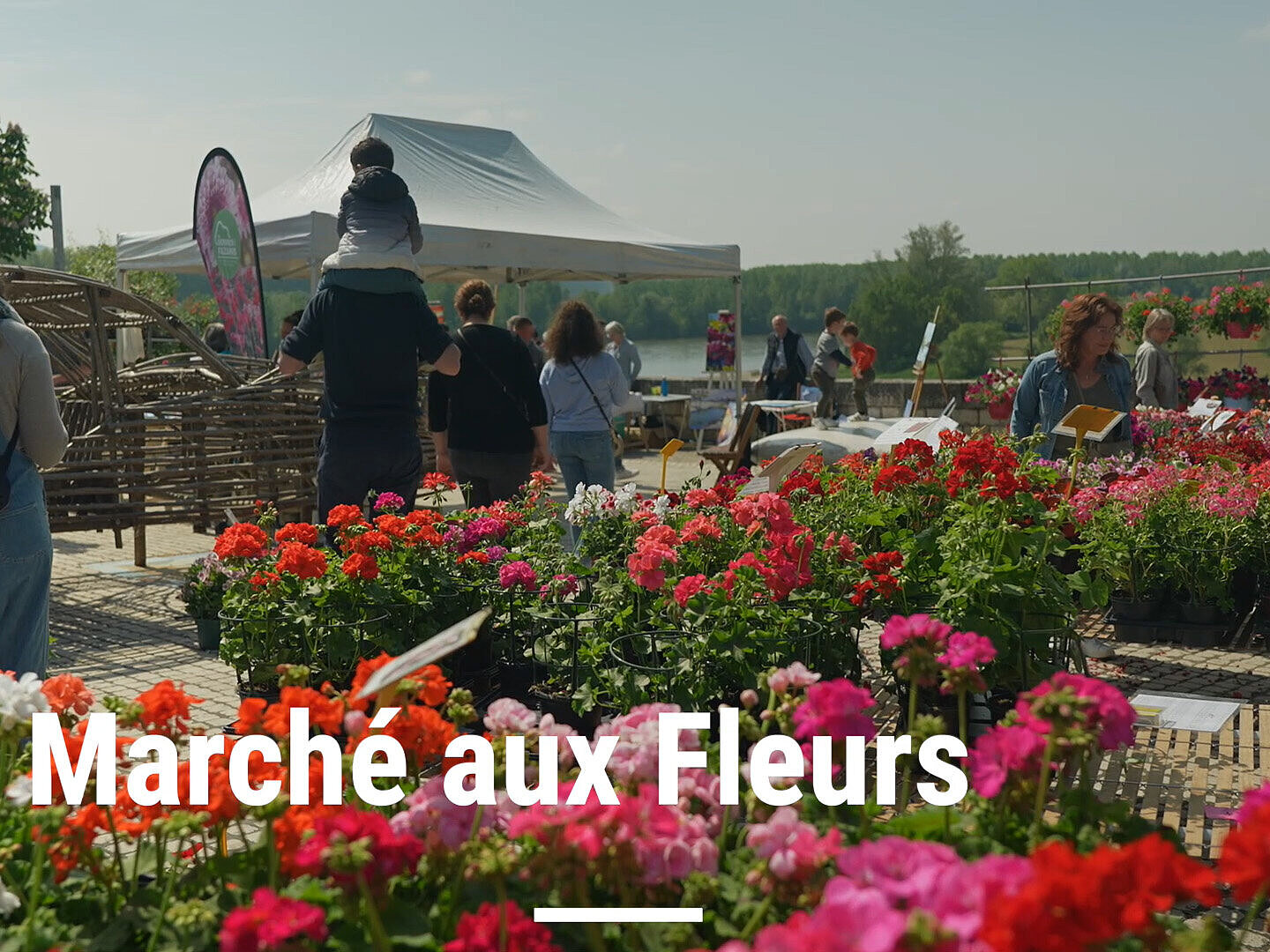 Actualité